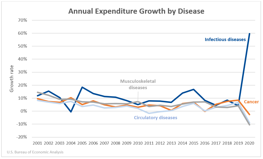 New Health Care Statistics for First Year of COVID-19 Pandemic | U.S. Bureau of Economic ...